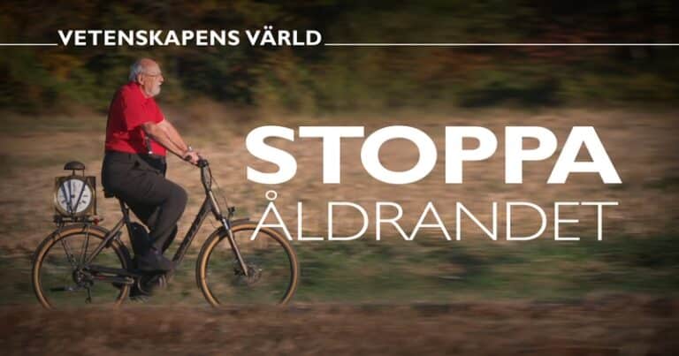 Stoppa åldrandet - SVT Play - WEBB-TV.nu