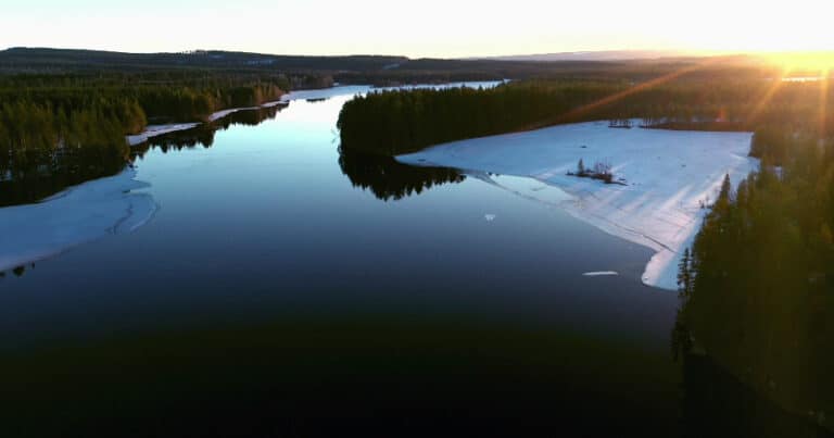 Historien om Älgvandringen - SVT Play - WEBB-TV.nu